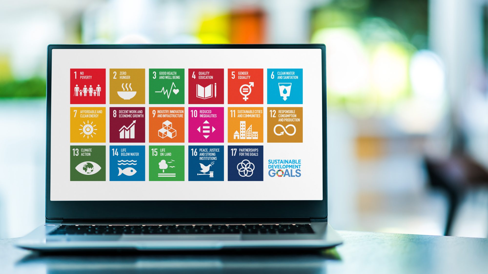 Investing in SDGs: Guiding global impact and sustainable returns ...